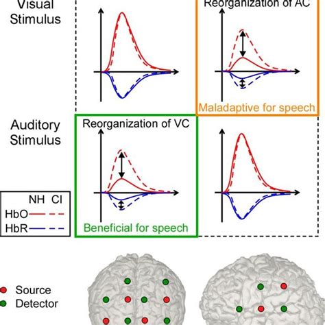Visual Checkerboard Stimuli In Four Luminance Ratios Were Flickering Download Scientific