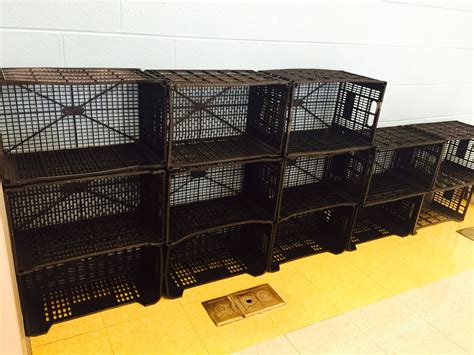 I Picked Up These Black Plastic Vegetable Crates For Free From The