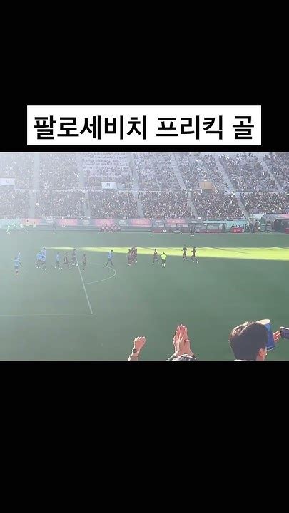 Vs 대구fc전 팔로세비치 프리킥 추가골 Shorts 팔로세비치 프리킥 Fc서울 K리그 Youtube