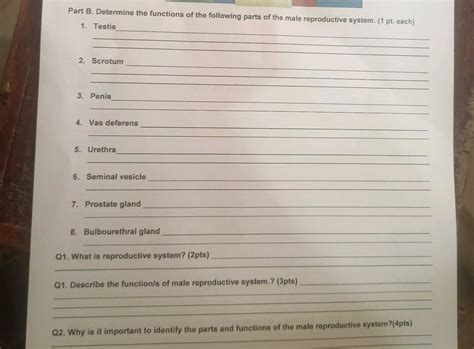 Part B Determine The Functions Of The StudyX