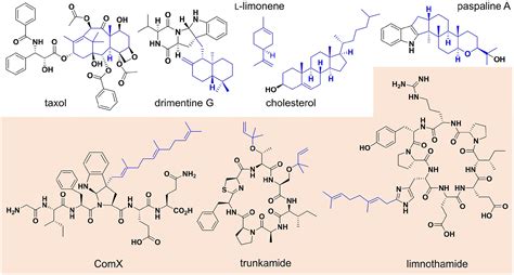 Ribosomal Peptides With Polycyclic Isoprenoid Moieties Chem