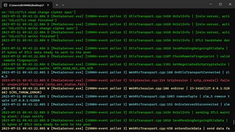 Bug Webrtc Issue Wvp Gb Pro Github