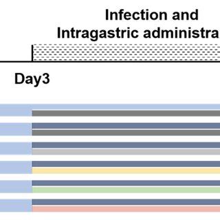 Experimental Design 2 3 4 Test Sample Collection 1 During The Trial Download Scientific