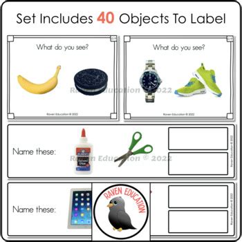 Labeling 2 Items Nouns Aligned With ABLLS R G19 G20 By Raven Education