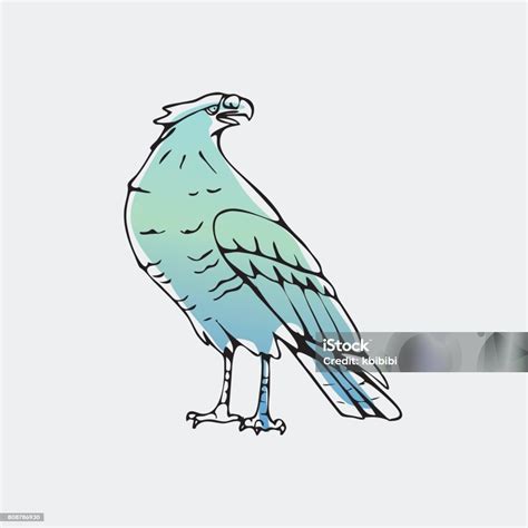 손으로 그린 연필 그래픽 독수리 독수리 Osprey 팔 콘 호크 새 프레데터 갈고리 발톱에 대한 스톡 벡터 아트 및 기타 이미지 갈고리 발톱 공포 무서움 깃털
