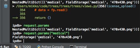 PyCharm Up Arrow Doesn T Work In The Console On Readline Prompt