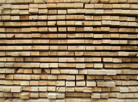 Timber Shipping Champion Freight