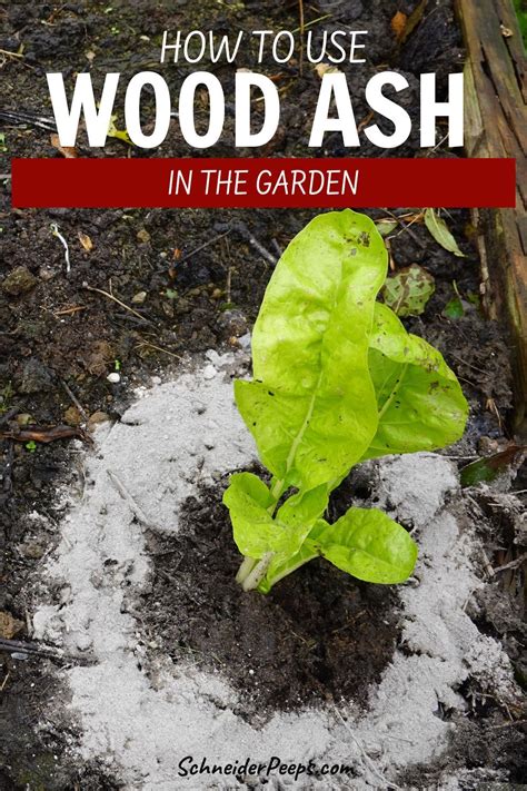 Why And How To Use Wood Ash In The Garden Artofit