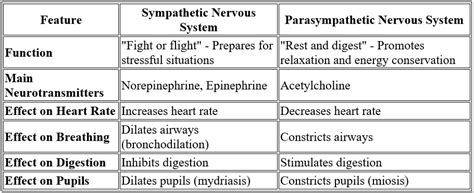 Neurohumoral Transmission Co Transmission Neurotransmitter