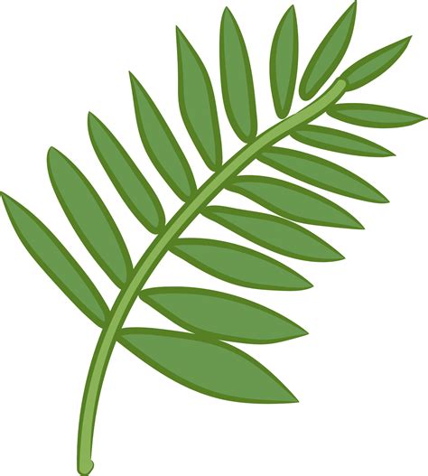 Leaf Png Graphic Clipart Design 19152917 Png