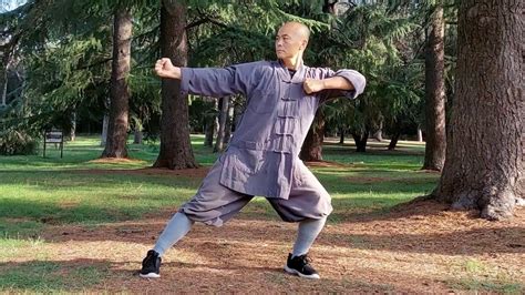 Shaolin Kung Fu Class 14 Ba Duan Jin YouTube
