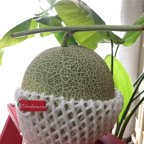 暑い日に食べたい一品 悠未枝のブログ
