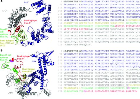 Design And Construction Of Recombinant Fusion Proteins Structure Download Scientific Diagram