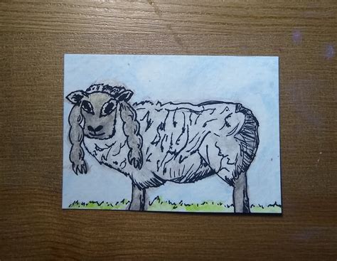 Wooloo Sketch Card I Made 😋 Oc Rpokemon