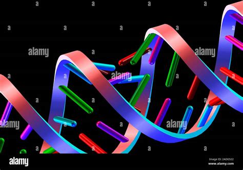 Dna Helix Computer Artwork Of Part Of A Strand Of Dna Deoxyribonucleic Acid Dna Molecule Has