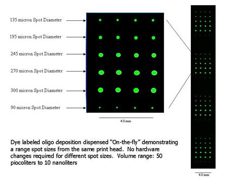 Engineering Arts To Develop And Deliver Microfluidic Dispense