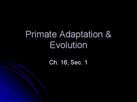 Primate Evolution Chapter 16 Primate Adaptation Evolution Ch