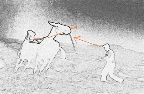 Tracy S Oca Blog Exercise 19 Implied Lines