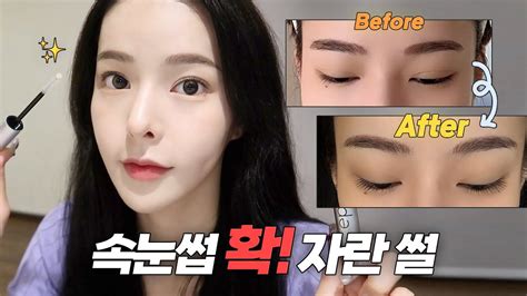드디어 찾았다 낙타 속눈썹 소리 듣고 싶은 사람 여기 모여 🐪🐫 Youtube