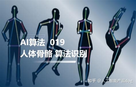 人体骨骼算法：助力工业场景管理，支持识别多种行为动作 知乎