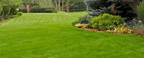 Beautiful Lawn With No Weeds Timberline Landscaping