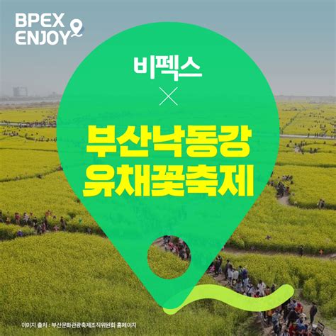 비펙스인조이 떨어지는 핑크빛 벚꽃을 대신해 봄을 느낄 Bpex 비펙스 부산항국제전시컨벤션센터