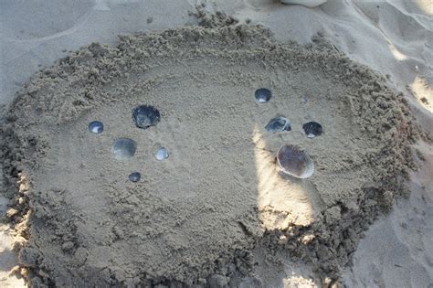 The Modern Housewife Make It Monday Sand Casting