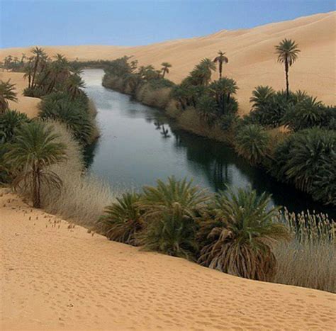 Оазис в пустыне 147 фото