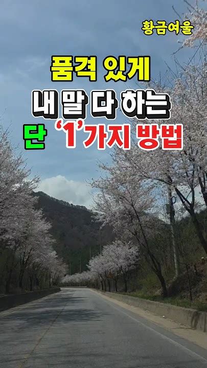 품위 있게 내 말 다 하는 법 단 1가지면 됩니다 Shorts품격있는말하기대화기술소통의지혜말의품격자기계발감정조절우아한소통심리대화법말센스화내지않고말하는법