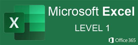 Online Course Microsoft Excel Level 1