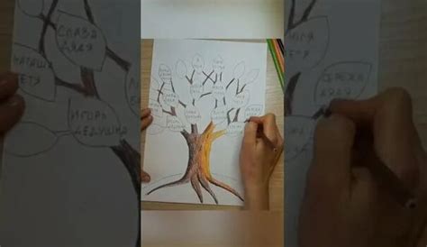 Как нарисовать Семейное Дерево Семейное дерево рисунок карандашом