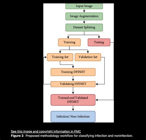 Automated Detection Of Infection In Diabetic Foot Ulcer Images Ai Deeplearning
