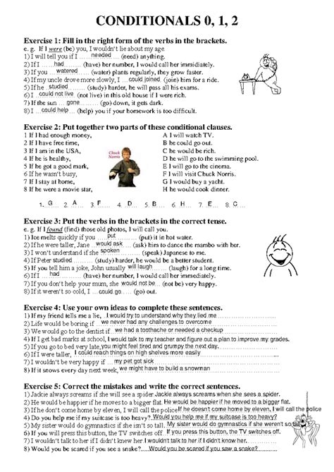 homework conditional sentences conditionals 0 1 2 exercise 1 fill