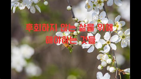 삶을 후회하지 않기 위해 해야 하는 것들 아무런 일도 하지 않으면 아무런 일도 일어나지 않습니다 도전을 하고 실패를 해도 또 도전을 계속 해야 합니다 성공은 실패에서