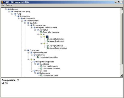 Phylogeny Tree Of Species From Pezizomycotina Sub Phylum Download
