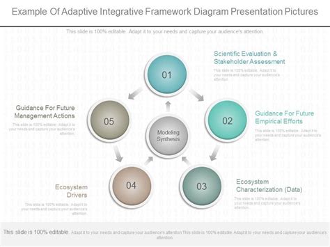Example Of Adaptive Integrative Framework Diagram Presentation Pictures