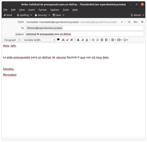 Correo Electrónico Con Postfix Dovecot Y Thunderbird En Ubuntu 2004