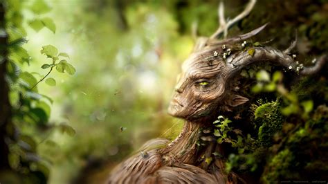 The Elder Scrolls V Skyrim Spriggan Nature Wallpapers Hd Desktop