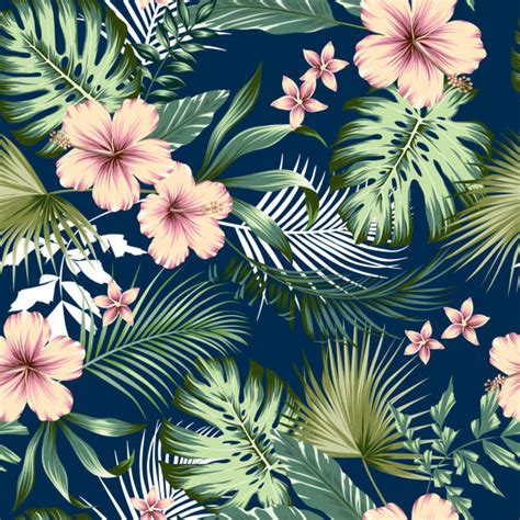 檳榔 棕櫚樹插圖和矢量圖形 Istock