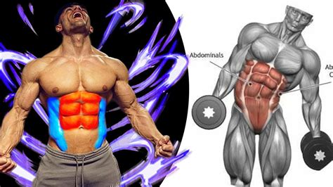 اقوى تمارين تضخيم البطن وجوانب V Cut Abs Youtube