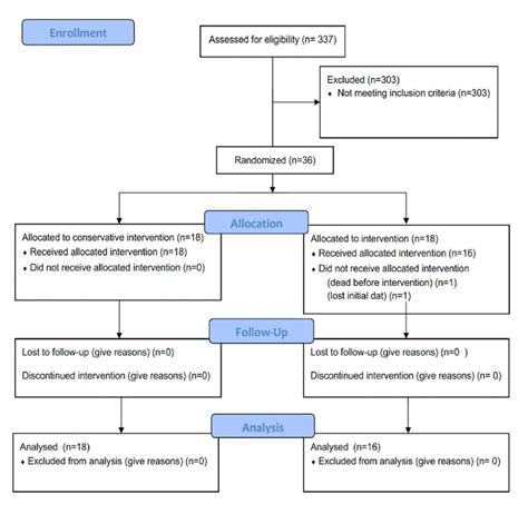 Diagram Illustrating The Flowchart Regarding Assessment Randomization
