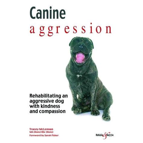 Can Dog Aggressive Dogs Be Rehabilitated
