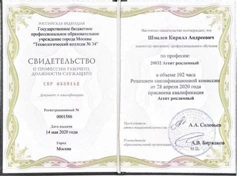 Resume Kirill Shmelev