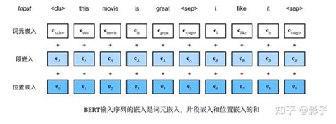 Bert 架构解决文本分类任务 知乎
