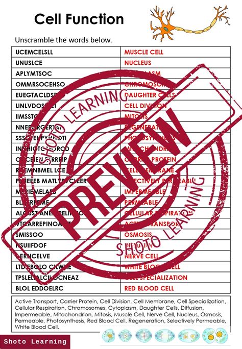 Cell Function Science Activity Scramble Words Vocabulary Word Game