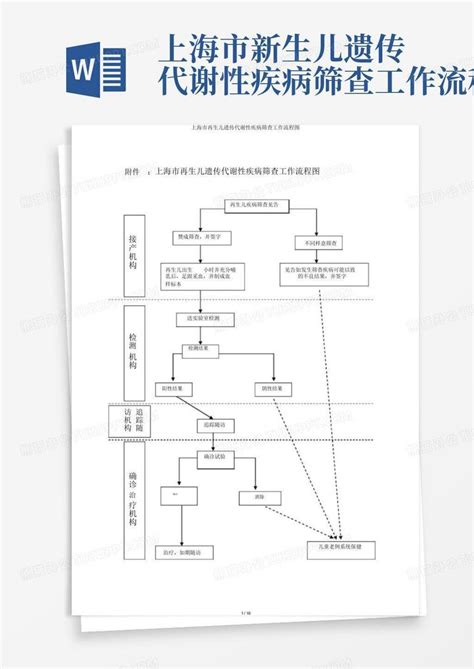 上海市新生儿遗传代谢性疾病筛查工作流程图 Word模板下载编号lekbzomb熊猫办公