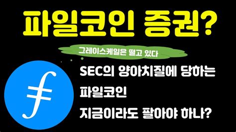 리플로는 부족했냐 Sec의 레이더에 걸린 파일코인 하루 세번 양아치질 하는 Sec Youtube