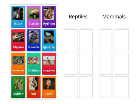 Mammal Vs Reptile Group Sort