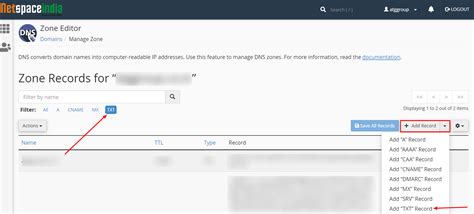 How To Add Txt Record In Cpanel Netspace™ India