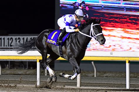 ダートグレード競走：ダイオライト記念（jpnii）2020おトク情報楽天競馬